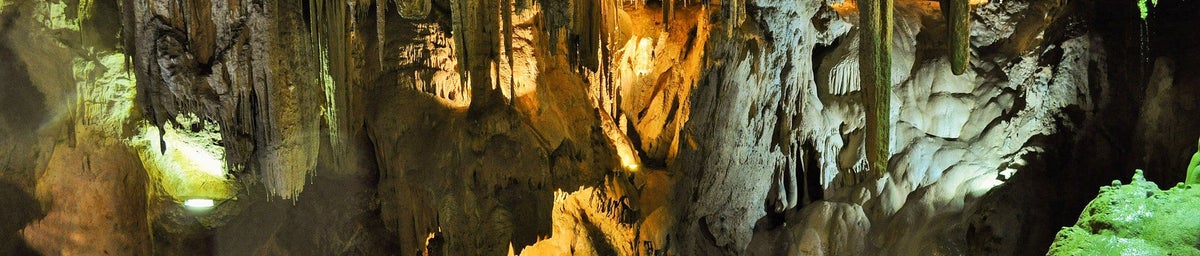 Caves de Mammoth | Étude de cas